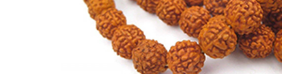Types Of Rudraksha and Benefits | What Are Rudraksha Beads